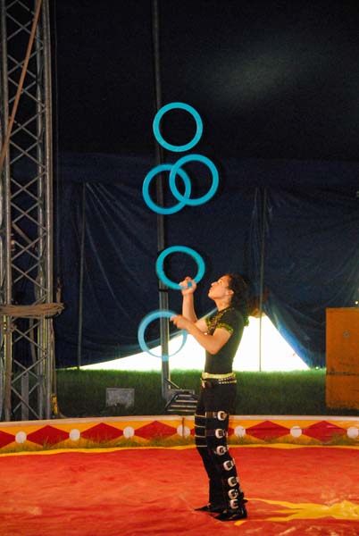 The circus delighted many | The Post-Searchlight