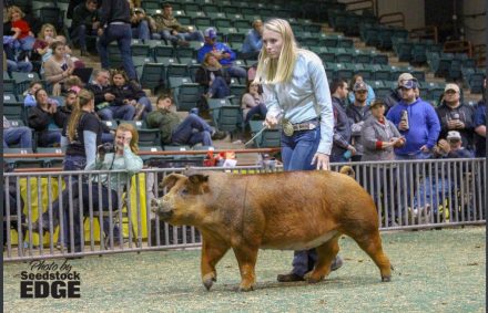 Bainbridge FFA member and FFA Alumni member selected the serve on GJSB ...