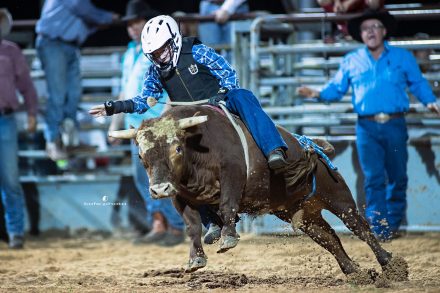 The Star of the Show - The Post-Searchlight | The Post-Searchlight