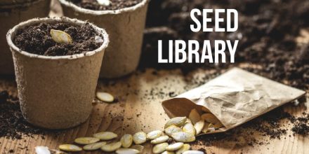 Gilbert H. Gragg Library promotes gardening through Seed Library ...
