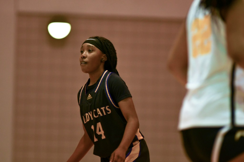 Taliyah Ausgood shines as BHS Ladycats play in FSU tournament - The ...