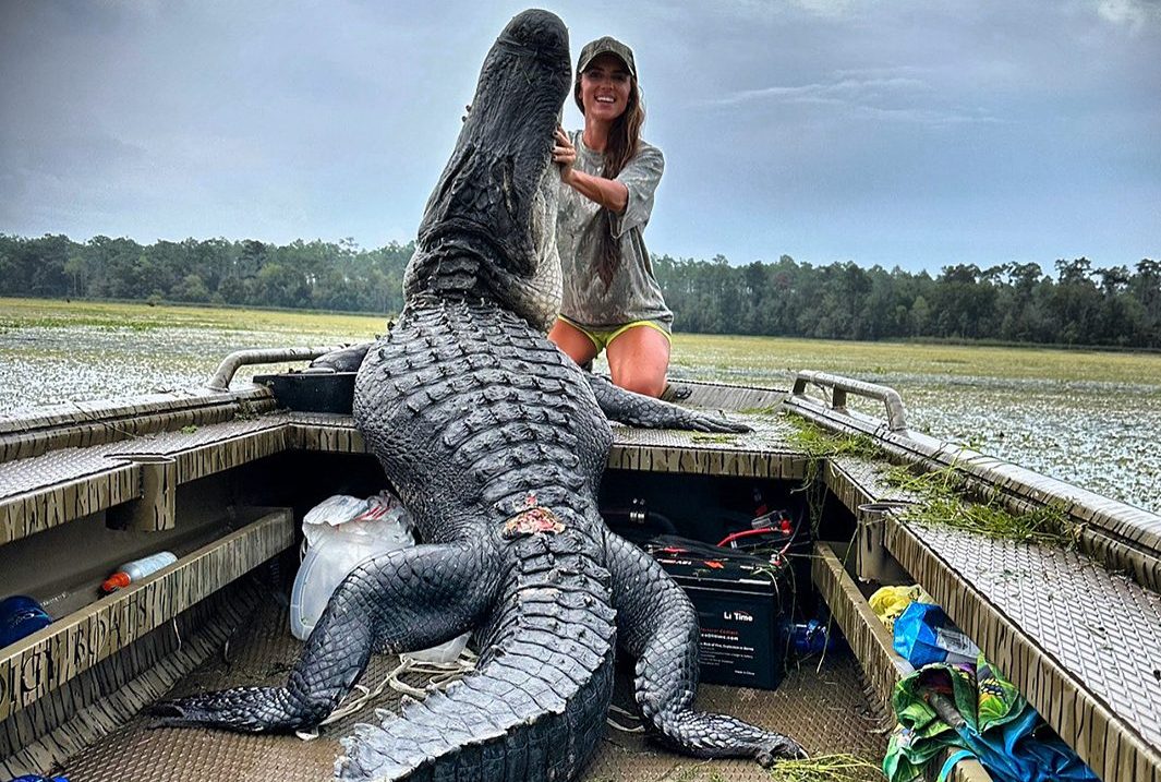 “Lake Placid”: Large alligators bagged on Lake Seminole this season ...