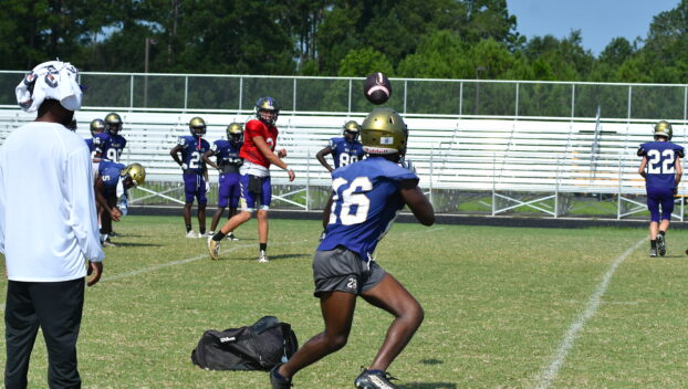 Bainbridge, Georgia (GA) – News, Sports, Community Information ...